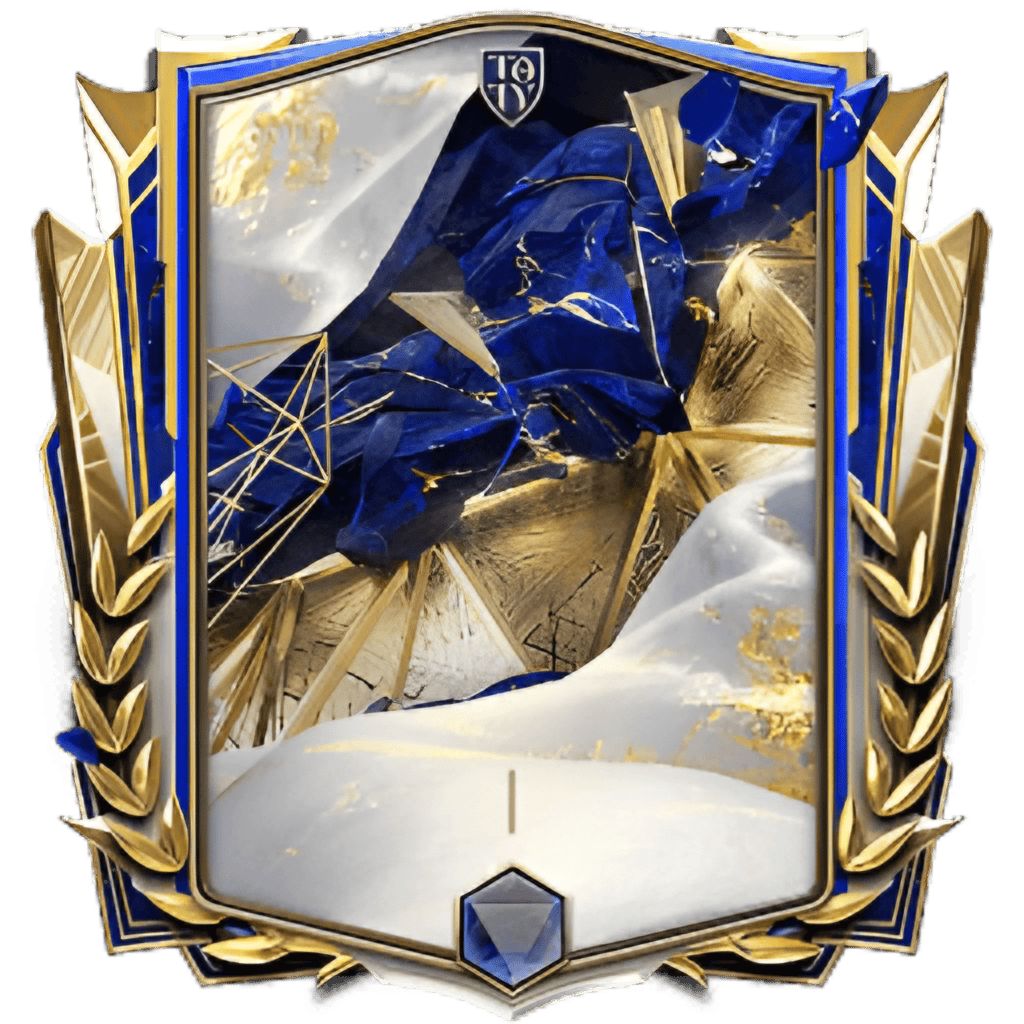 25토티 고화질 빈카드