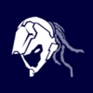 Before Starting the Game