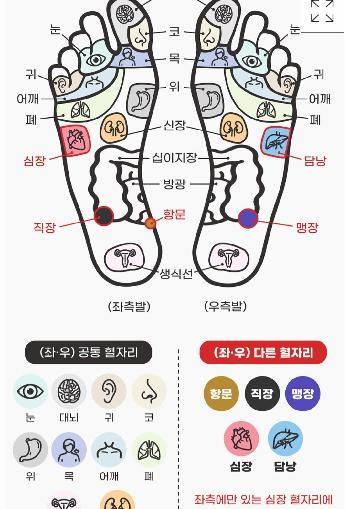 발바닥 혈자리